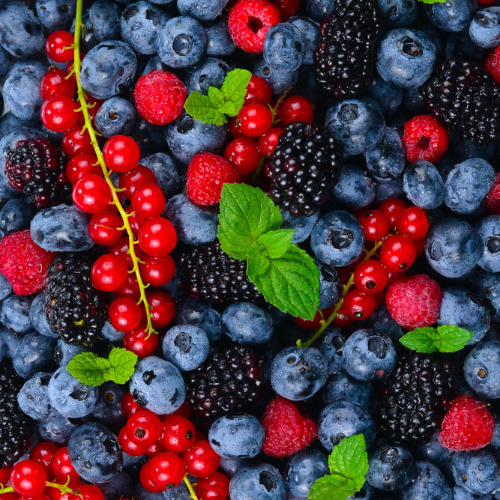Canadian Fruit Seeds Collection | Heirloom, Rare & Tropical Varieties ...